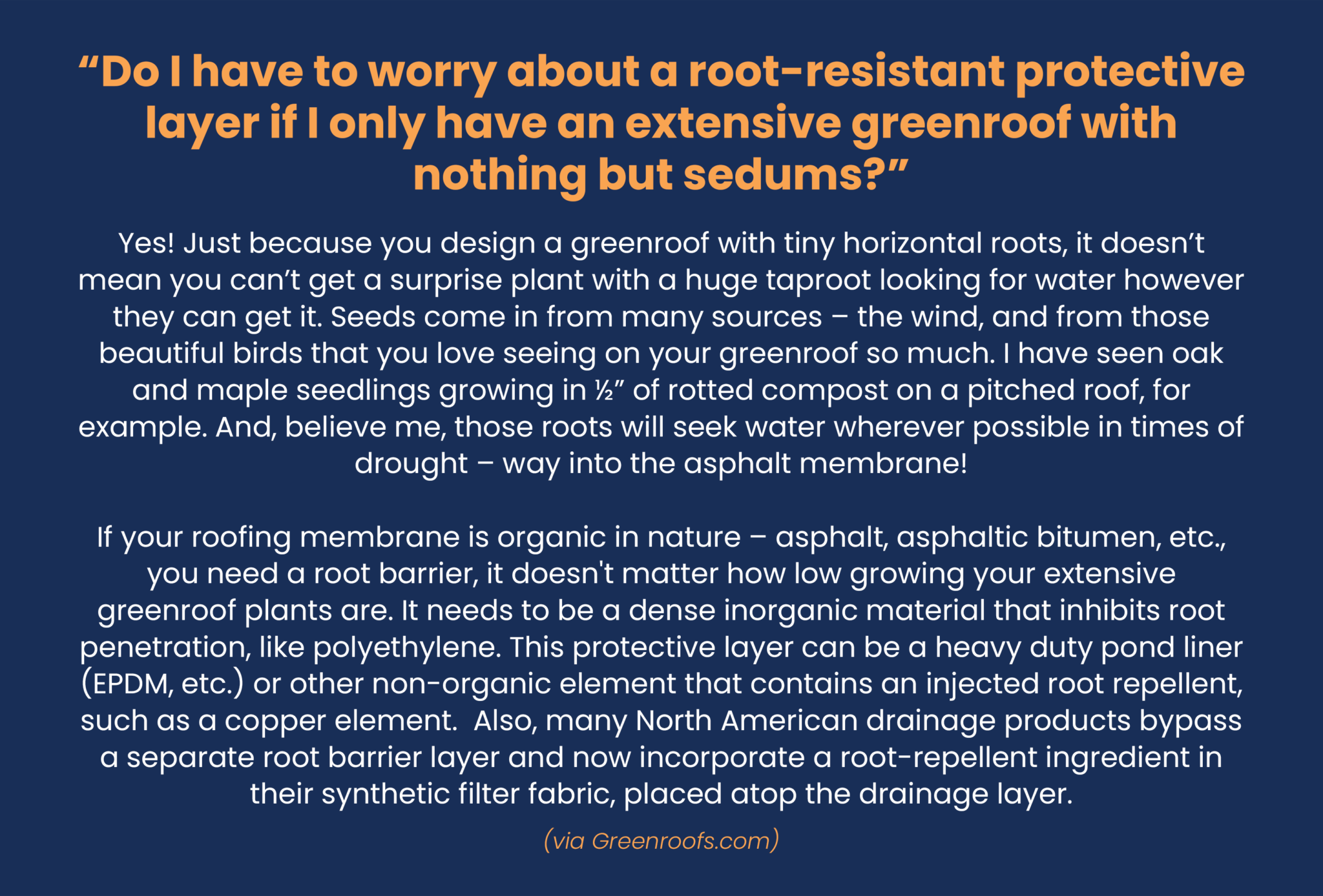 The Foreman’s Guide: Understanding Root Barriers – Barrett Company